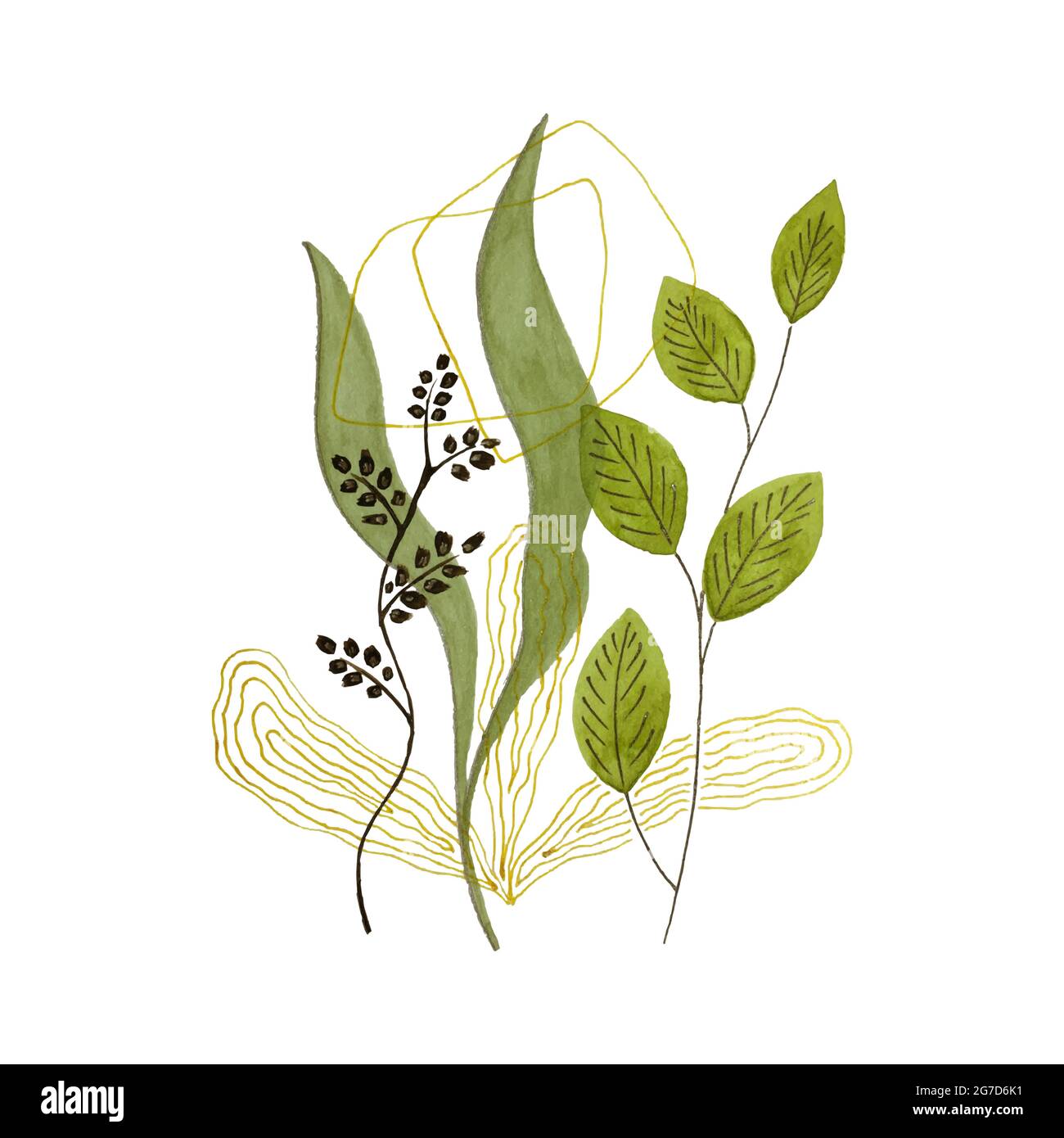 Botanical vector abstract drawing, watercolor, foliage lines with ...