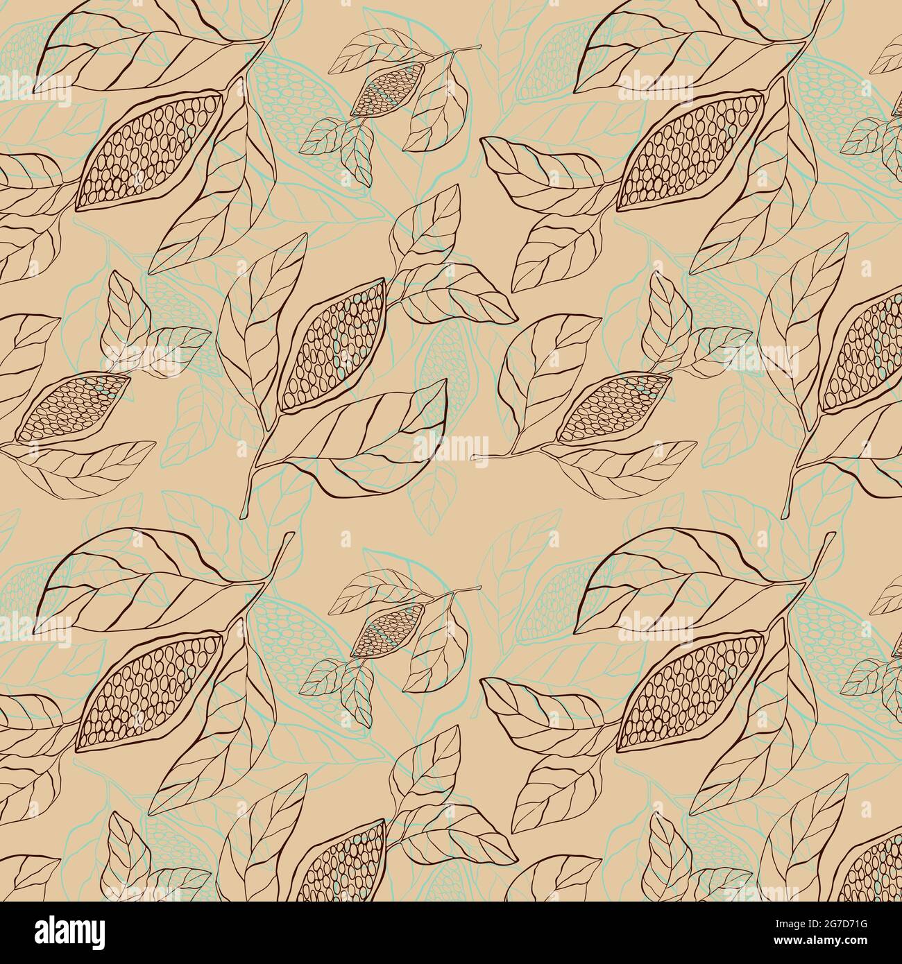 Cacao tree botanical drawing hi-res stock photography and images - Alamy