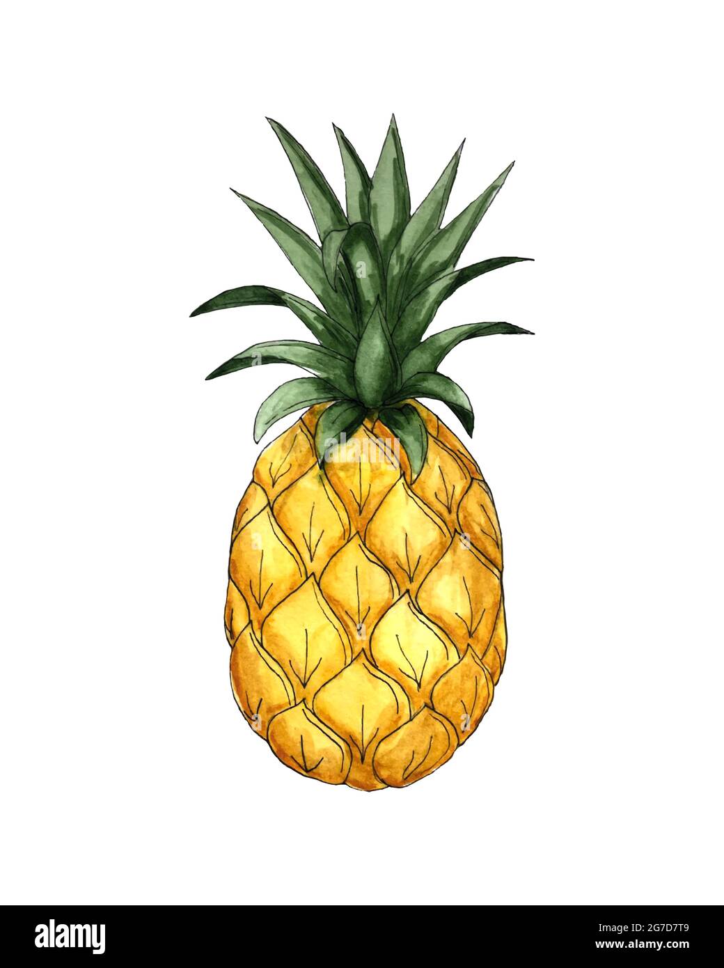 Pineapple Vector