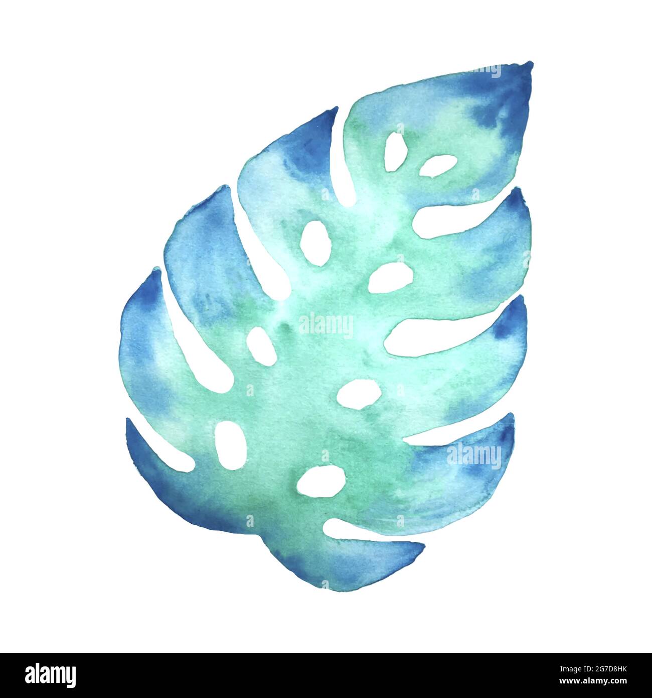 Monstera leaf watercolor green aquamarine blue. Isolated, white ...