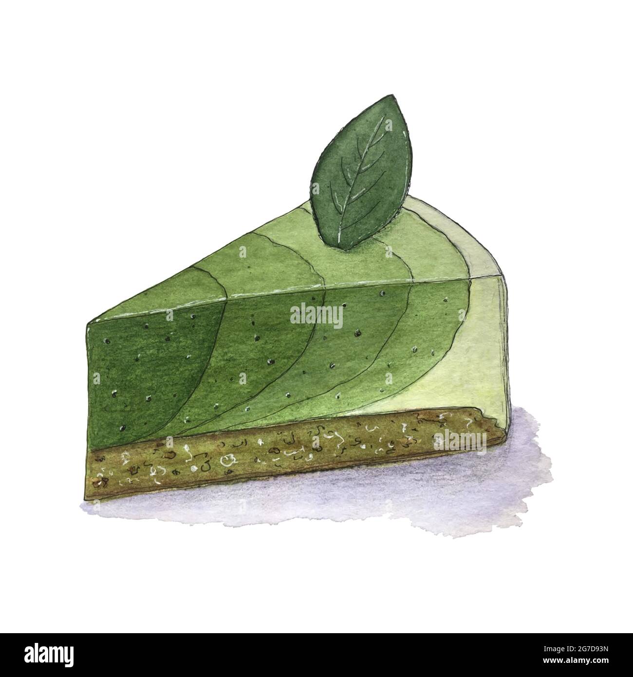 Matcha mousse cake watercolor drawing, handmade, sketch. Vector ...