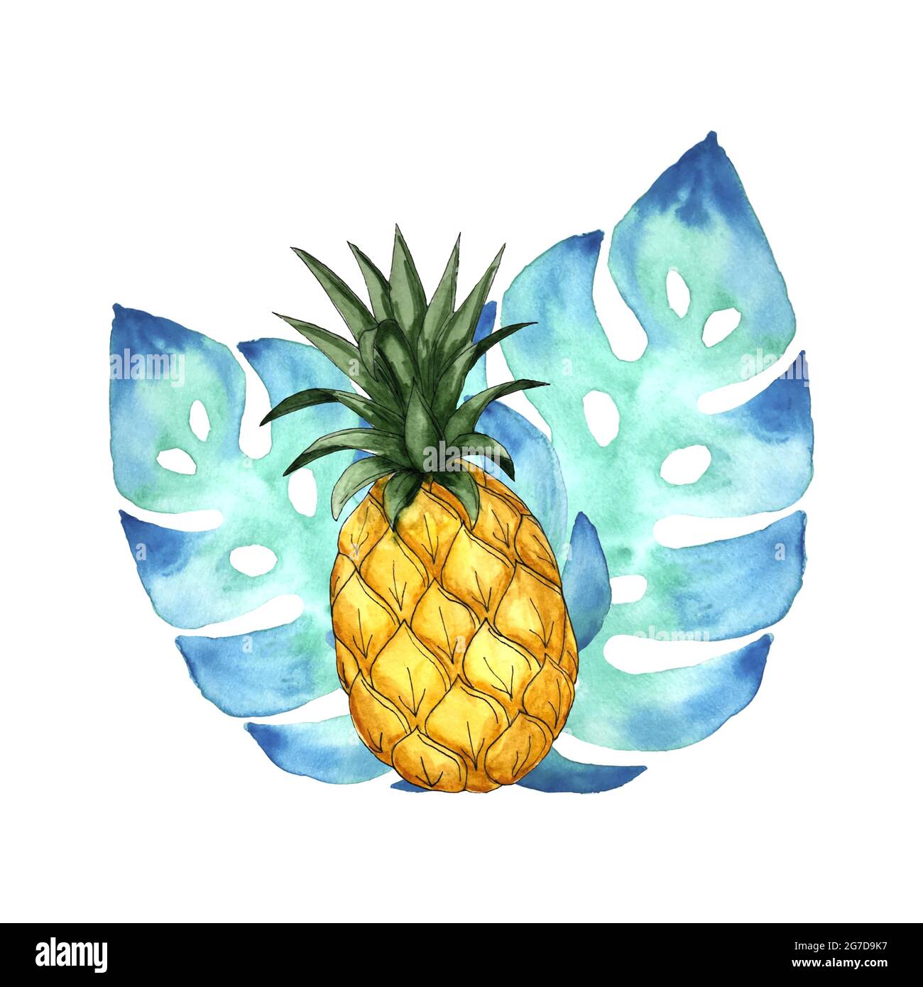 Monstera leaves and pineapple, watercolor sketch, hand drawing ...