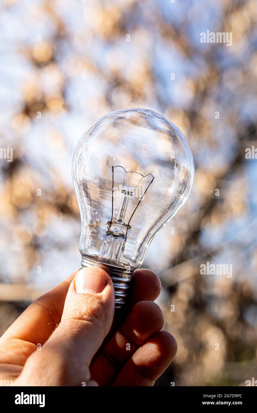 Vertical shot of an incandescent light bulb on hand Stock Photo - Alamy