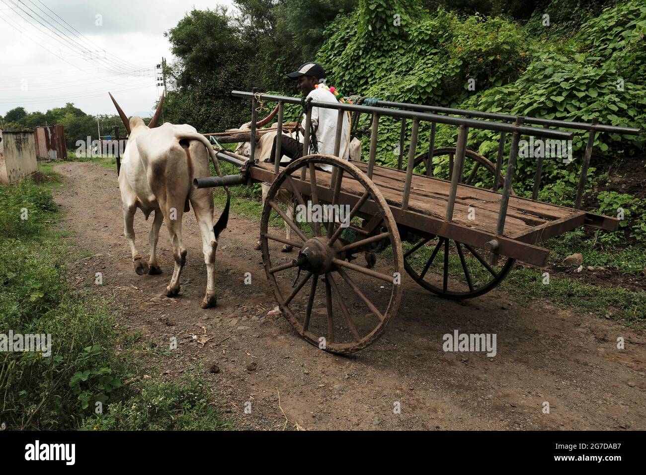 Indian bullock cart hi-res stock photography and images - Alamy
