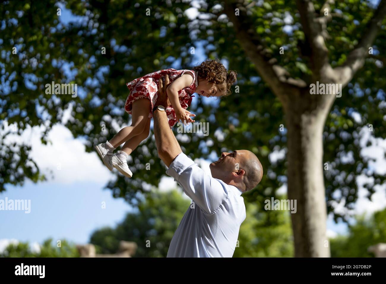 Father throwing his daughter up while having a nice family time in a ...