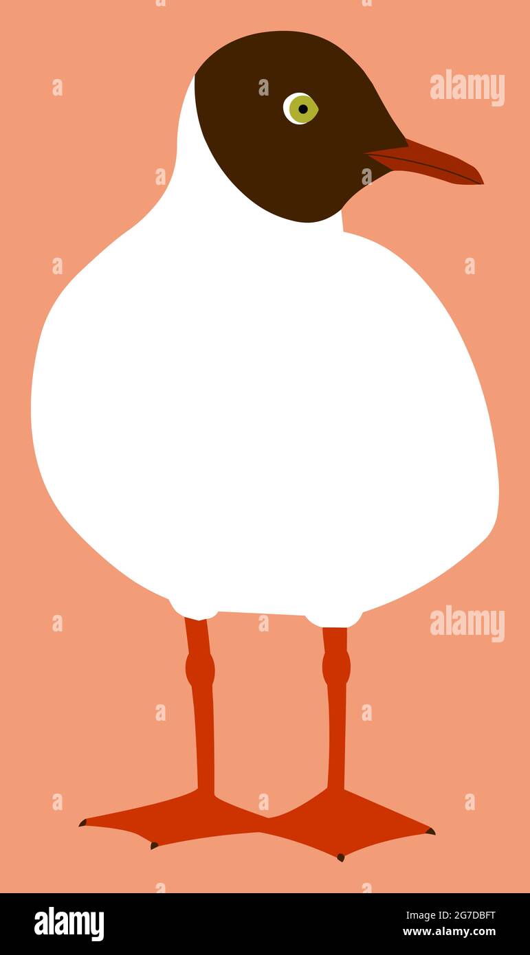 Black-headed gull, bird illustration Stock Photo - Alamy