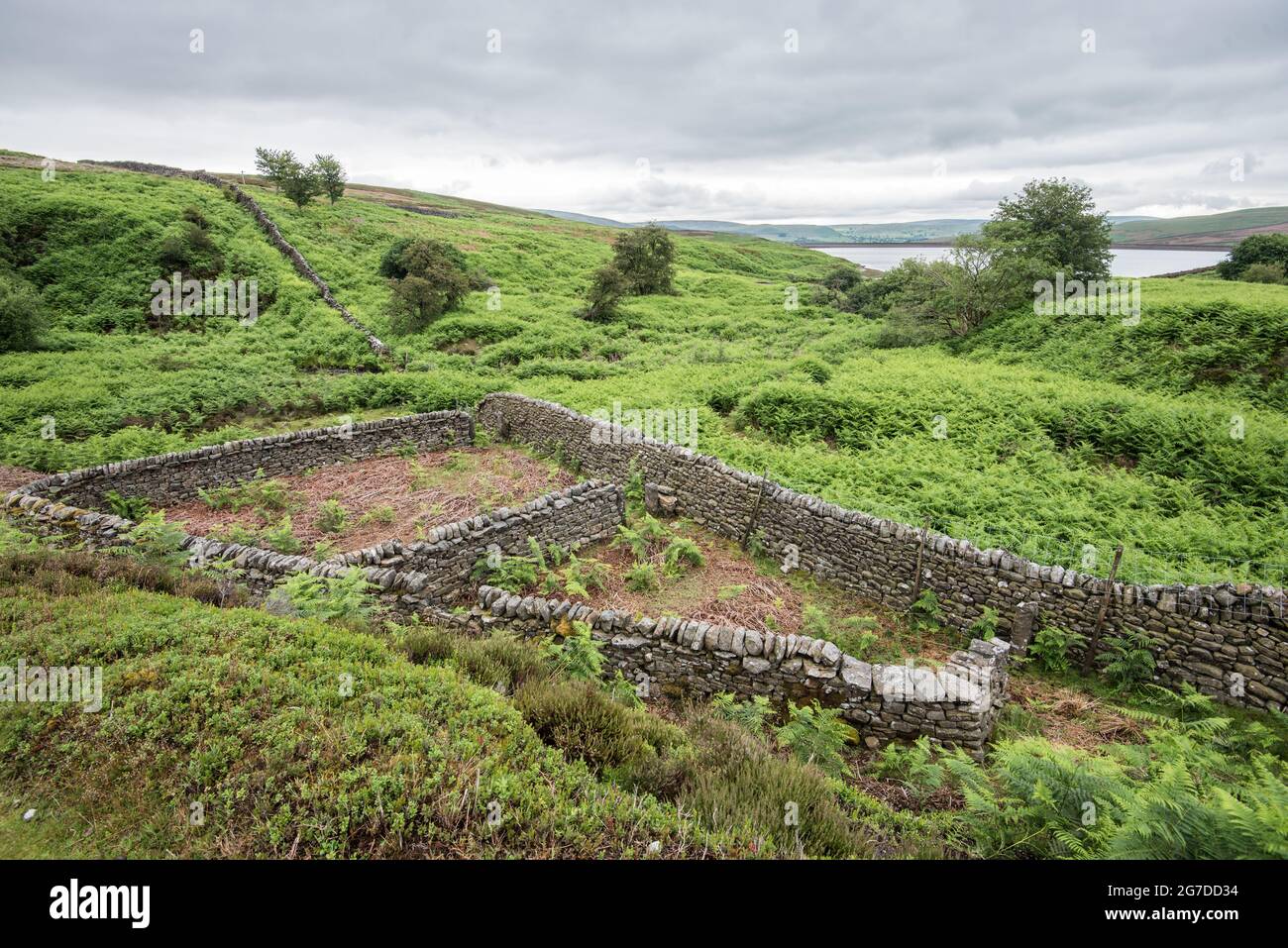 Sheep fold hi-res stock photography and images - Alamy