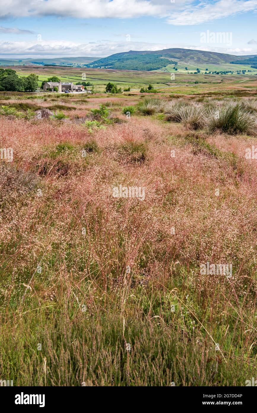 Simon's seat hi-res stock photography and images - Alamy
