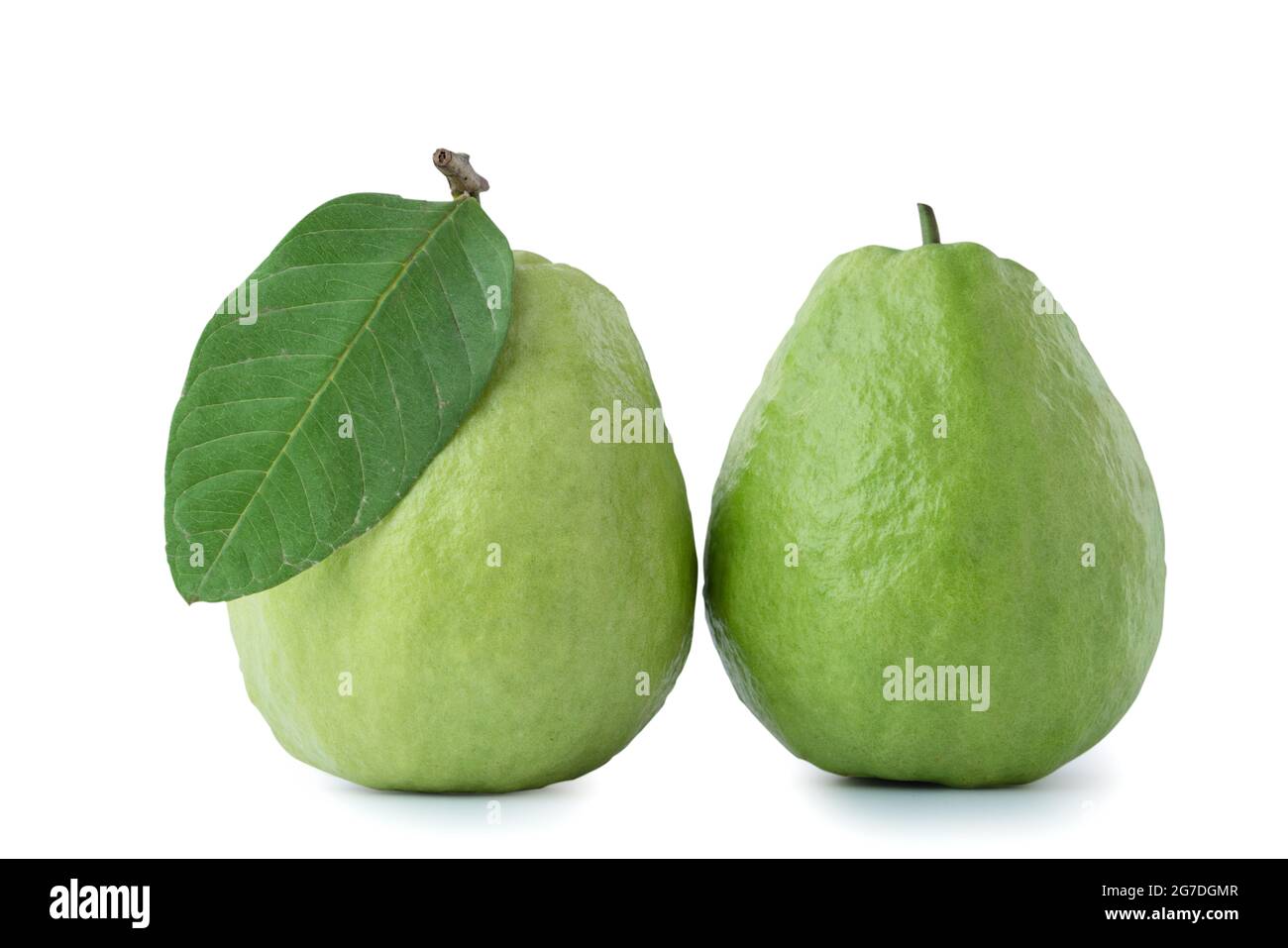 Beautiful delicious guava fruit isolated on white background with ...