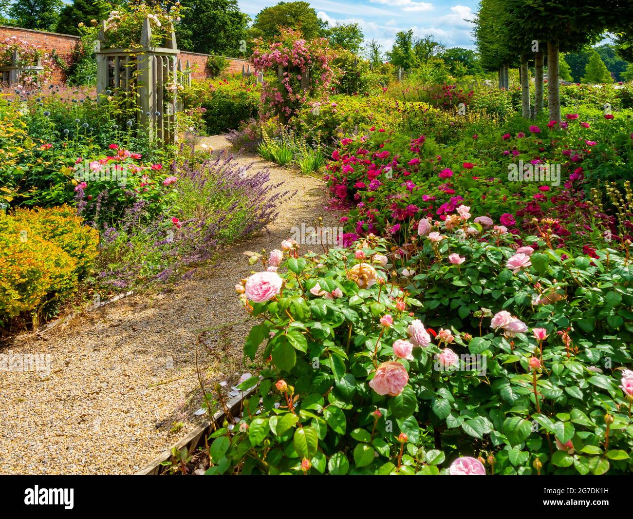 Curved flowers hi-res stock photography and images - Alamy