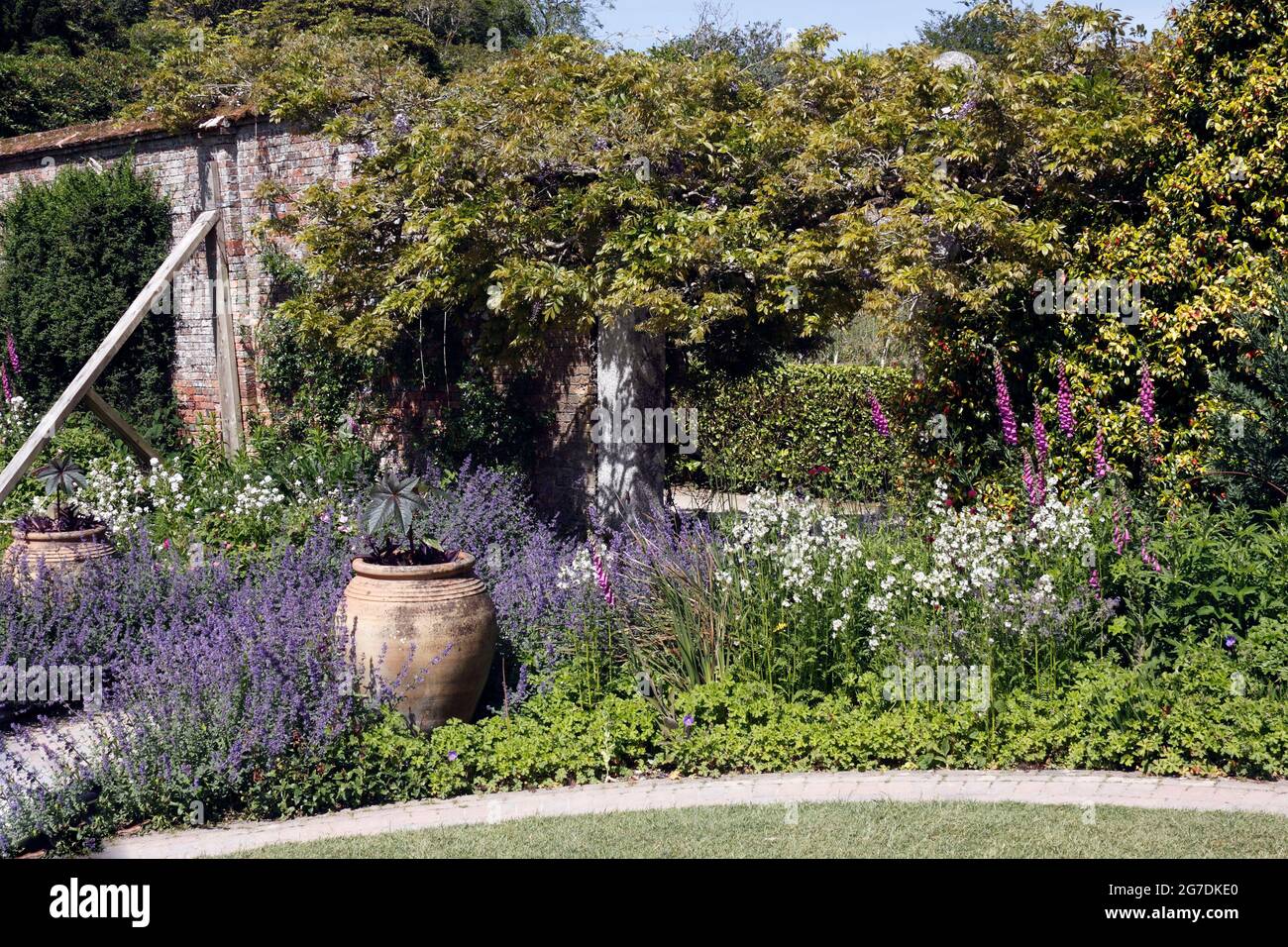 WILD FLOWER BORDER IN A WALLED GARDEN Stock Photo - Alamy
