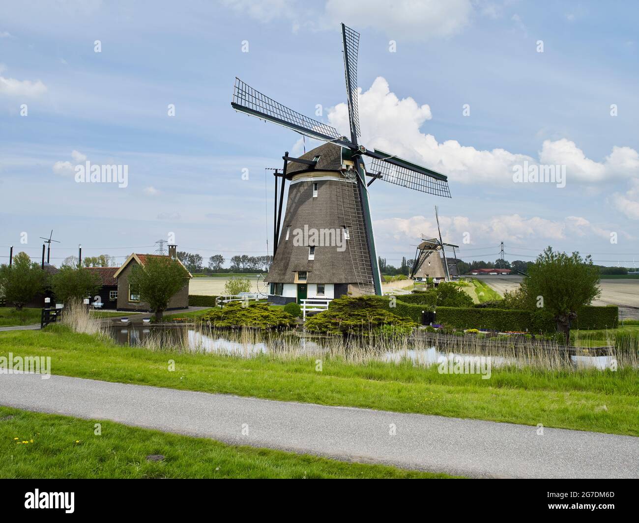 Dutch landscape with windmill in the polder Stock Photo - Alamy