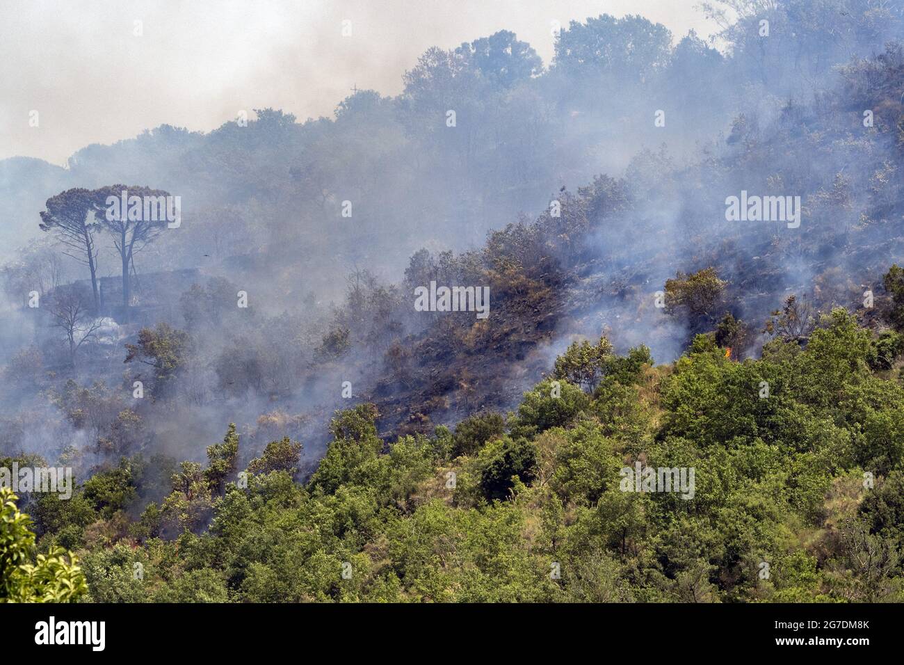 Forest and bush fire in sicily, Italy Stock Photo - Alamy