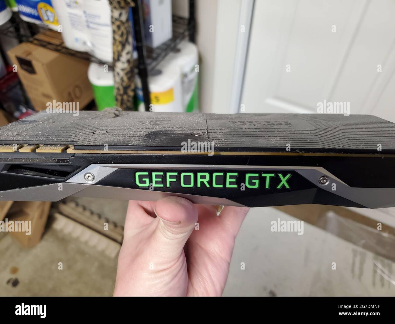 Photograph of a person holding an Nvidia GeForce GTX graphics card in ...