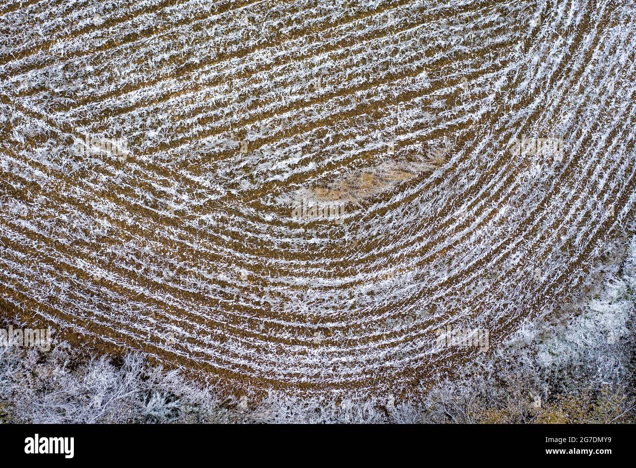 Corn field missouri hi-res stock photography and images - Alamy
