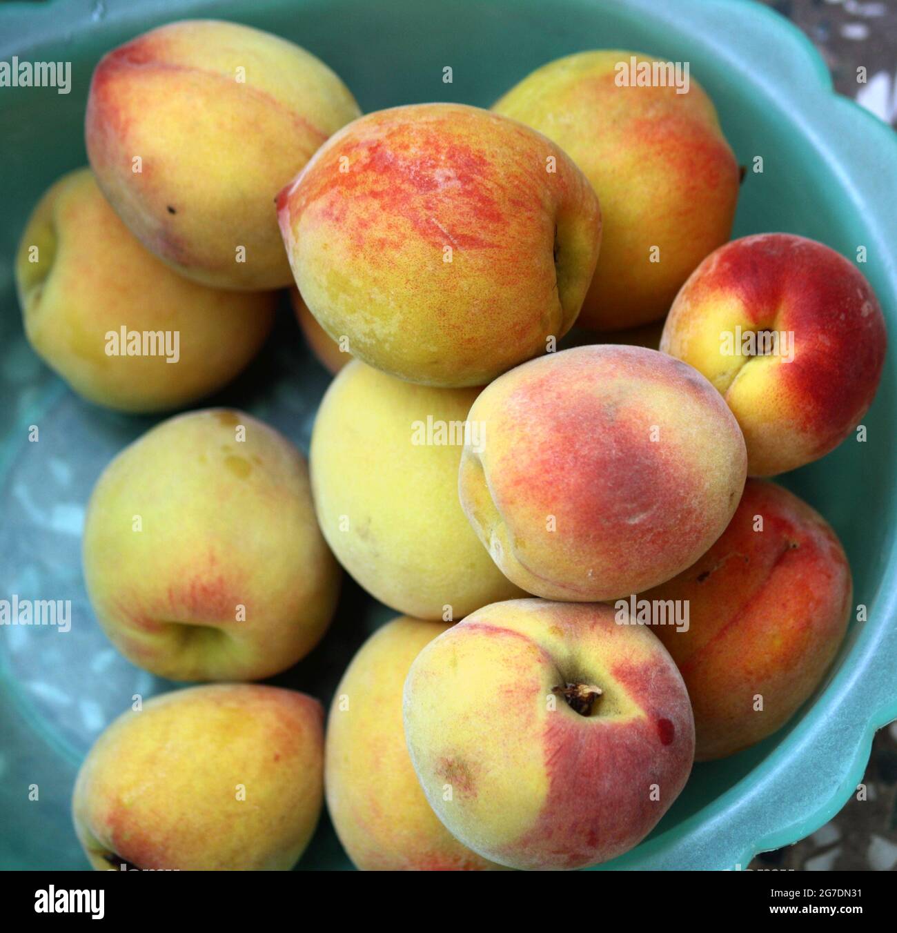 Prunus persica white flesh peach hi-res stock photography and images ...