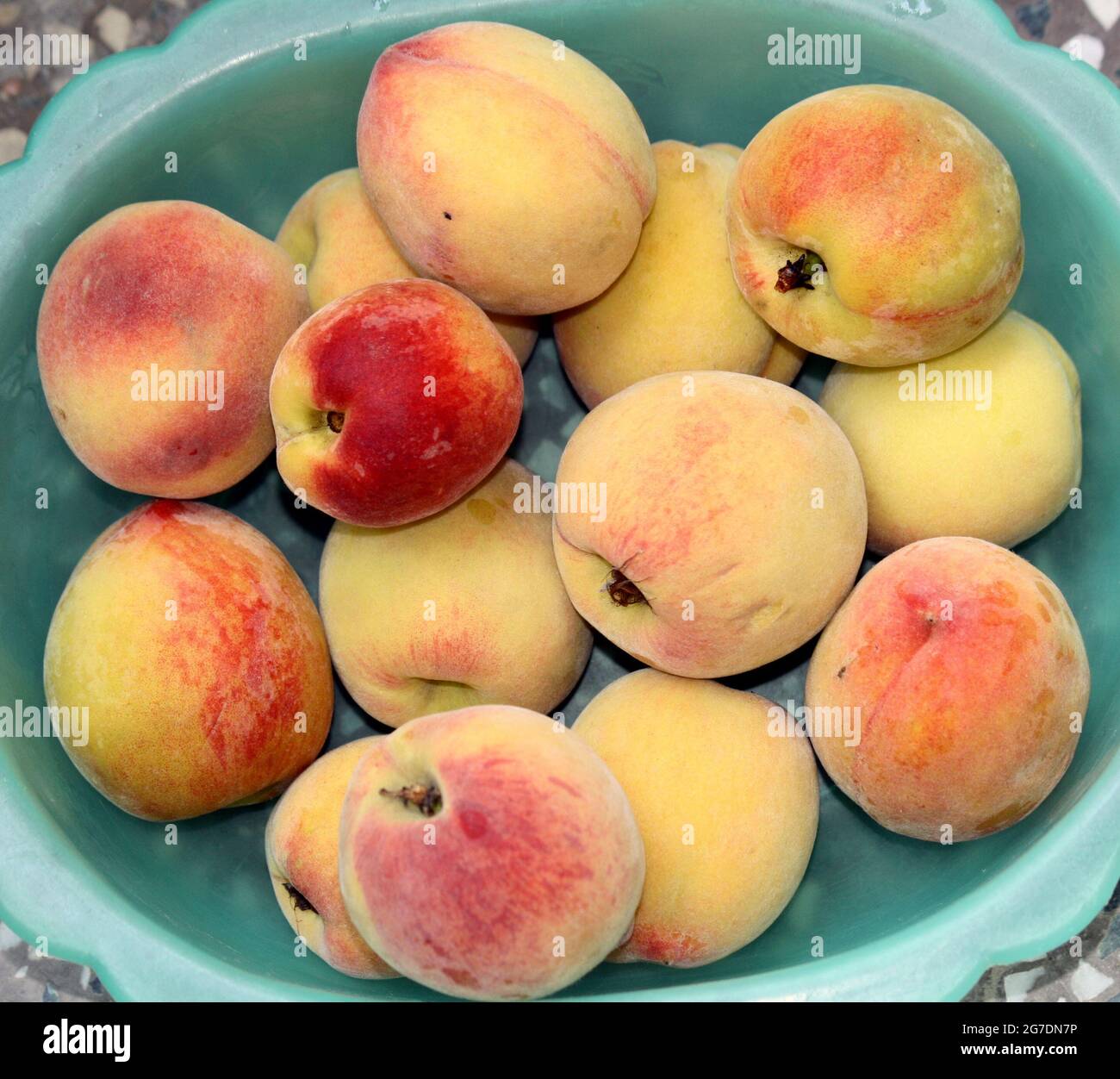 Prunus persica white flesh peach hi-res stock photography and images ...