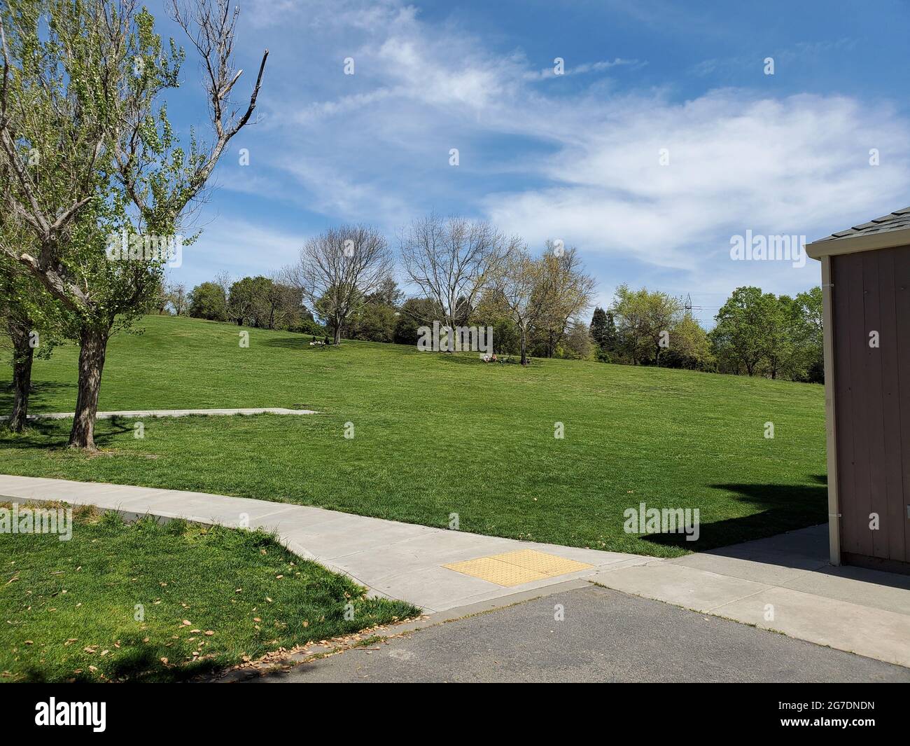 Photograph of a freshly-mowed lawn in a back yard with a wooded area in ...