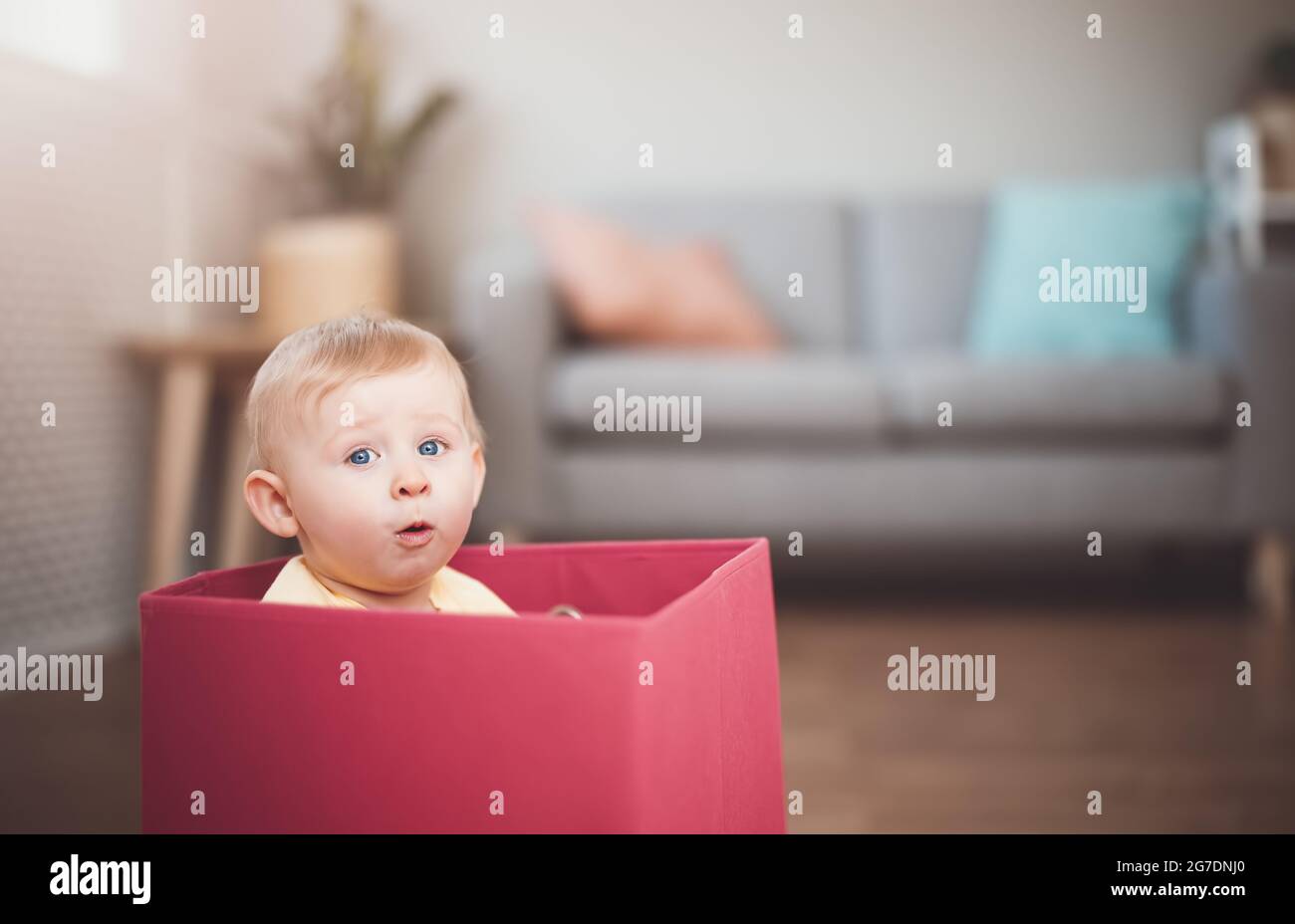 Cute boy sitting in the red box Stock Photo - Alamy