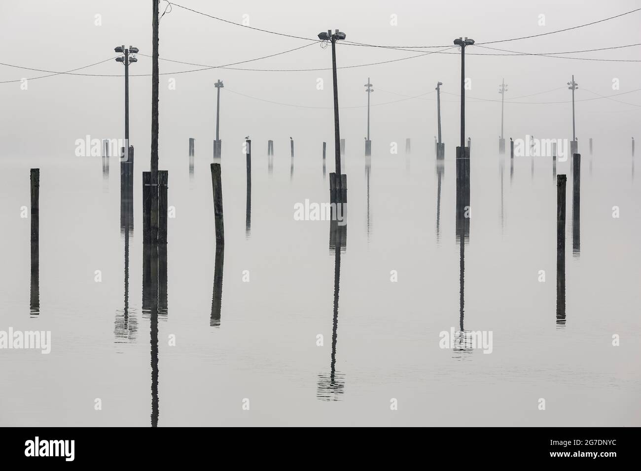 Log booming hi-res stock photography and images - Alamy