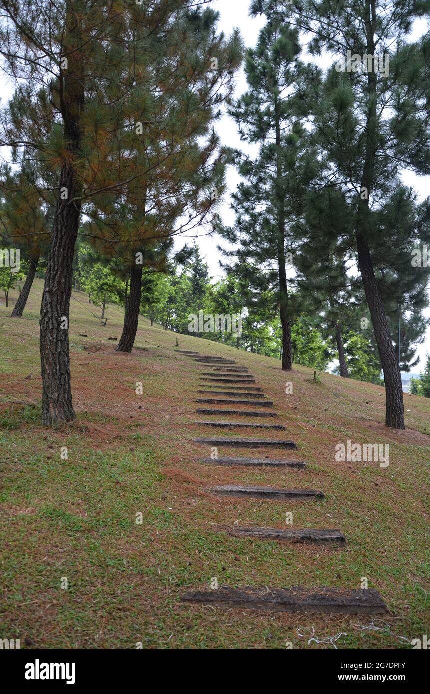 Steps going up hill stairs hi-res stock photography and images - Alamy