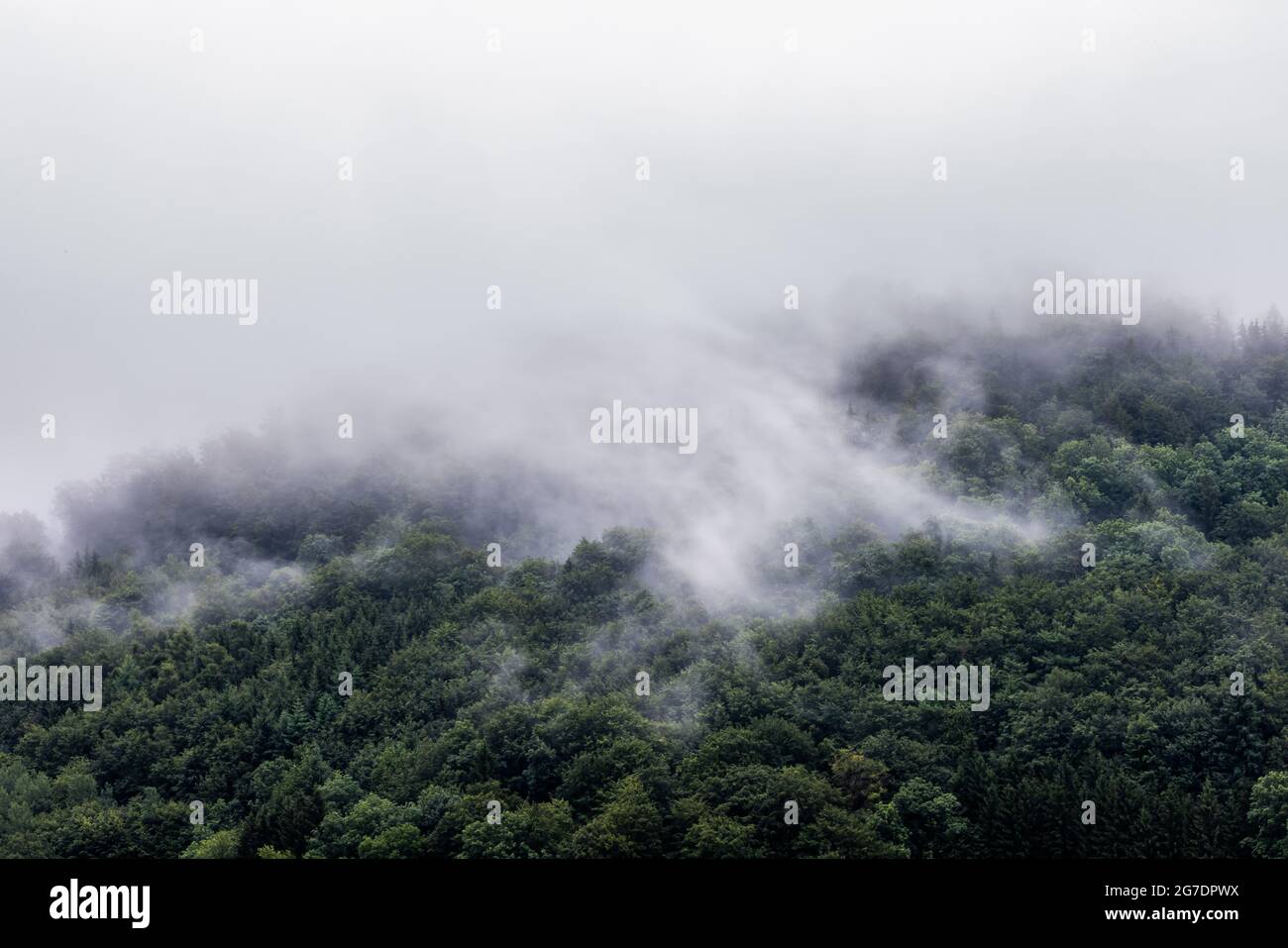 Freiamt, Germany. 13th July, 2021. Clouds of fog rise from a forest ...