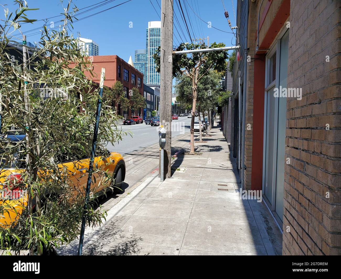 Tree lined street bay area hi-res stock photography and images - Alamy