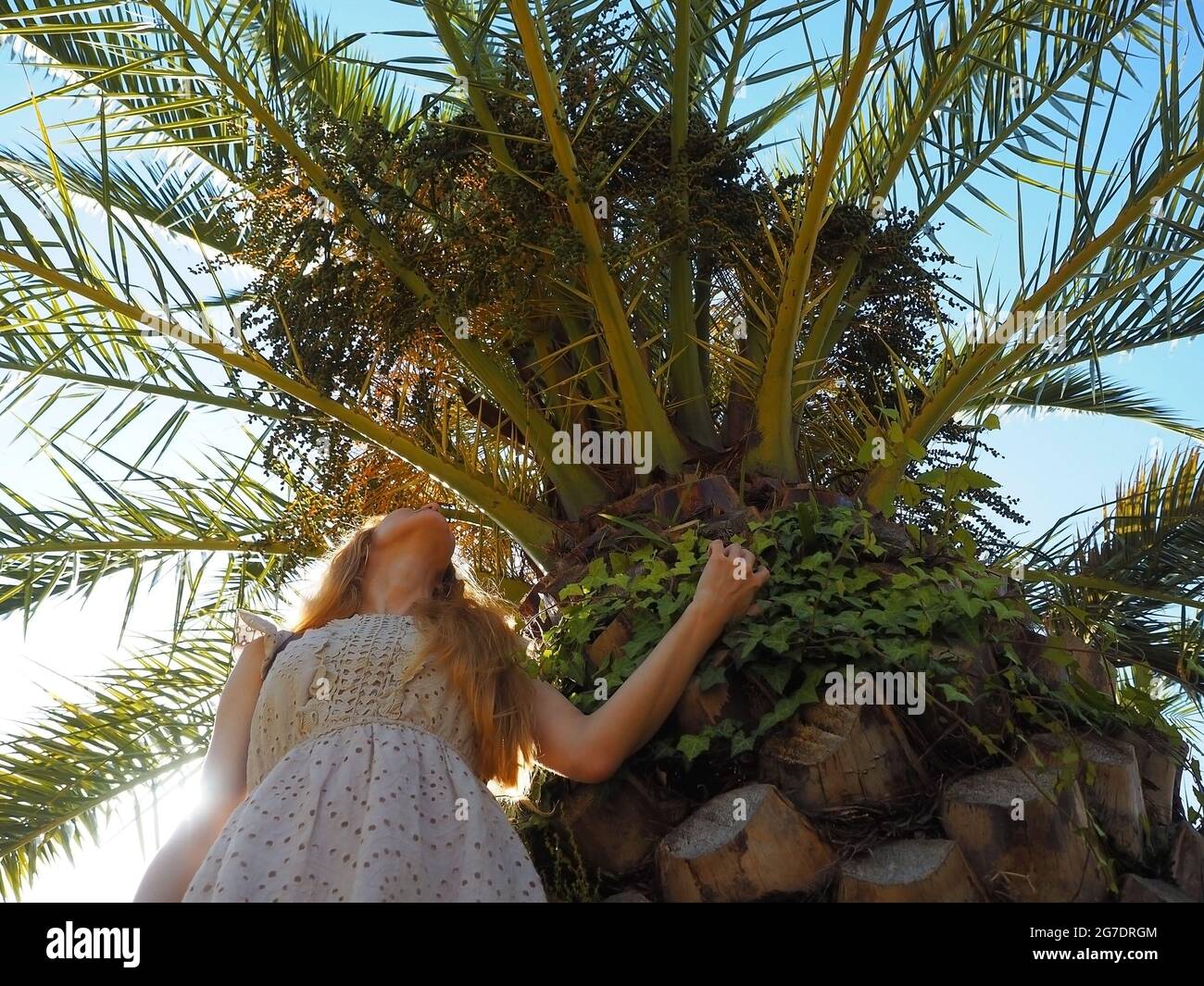 A girl stands under spreading palm tree looking up and holding on to a ...