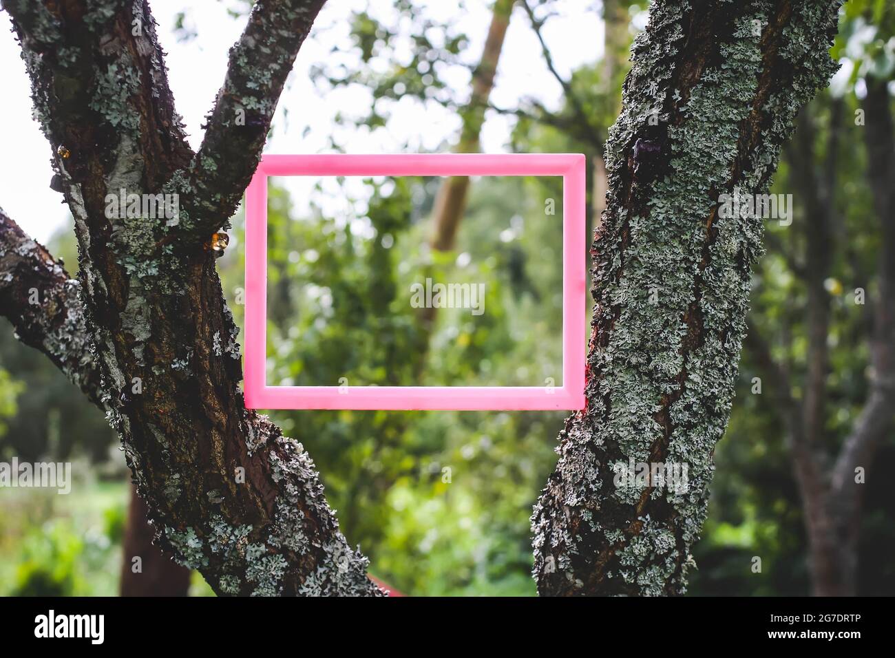 Still life frames collection hi-res stock photography and images - Alamy