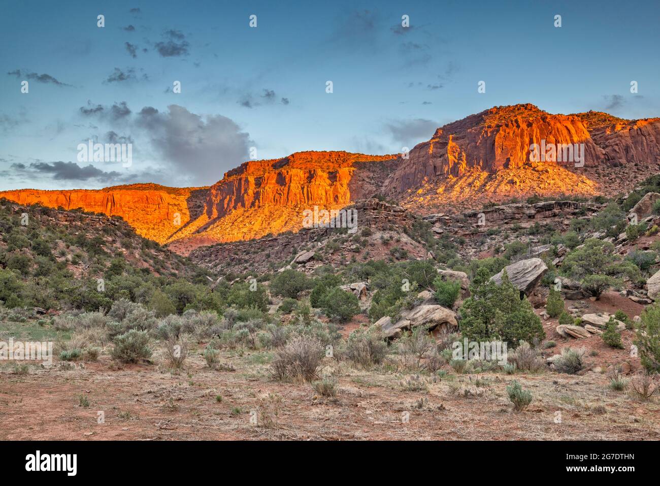 Golden rims hi-res stock photography and images - Alamy