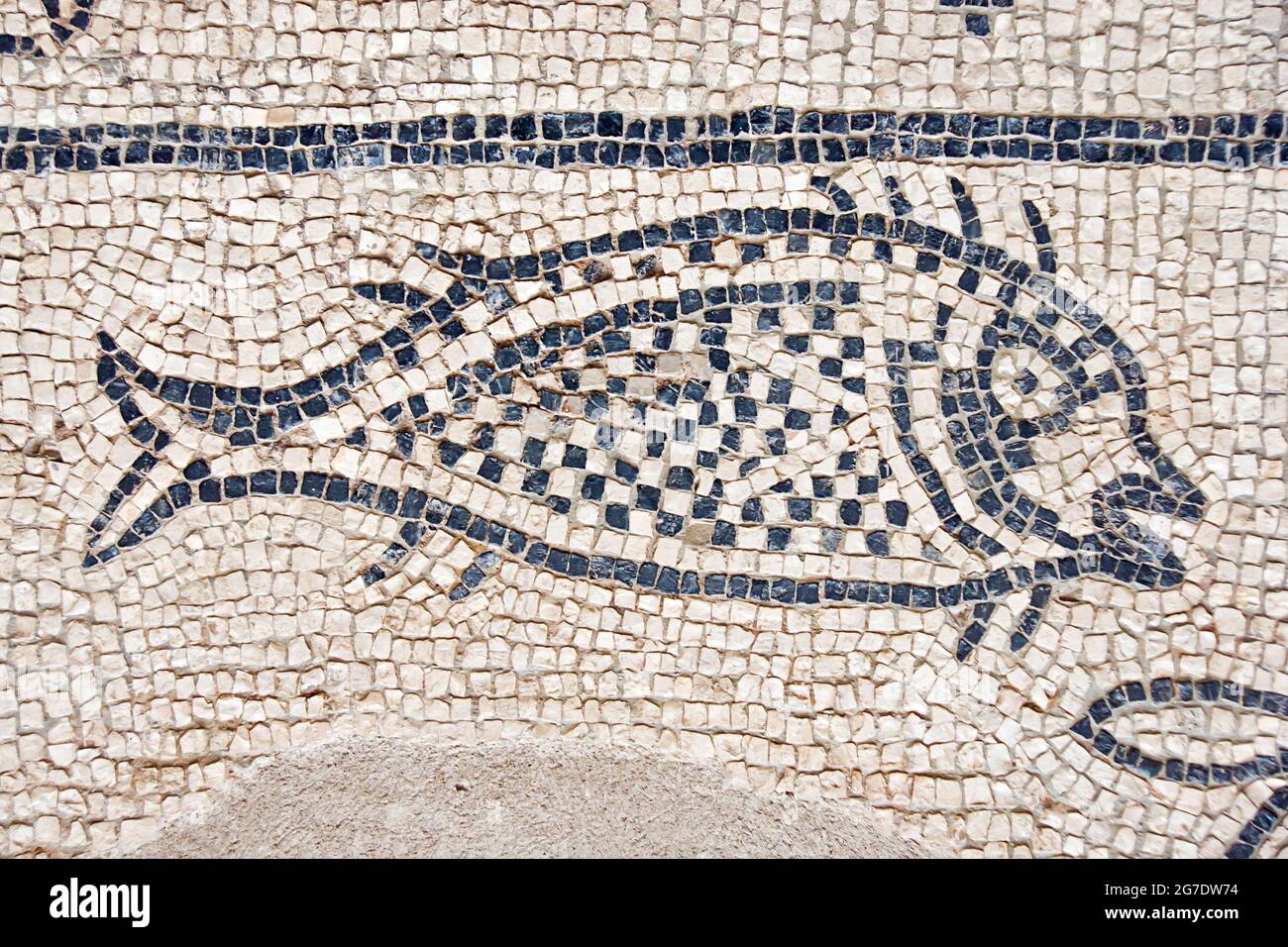 Ancient roman mosaic background hi-res stock photography and images - Alamy