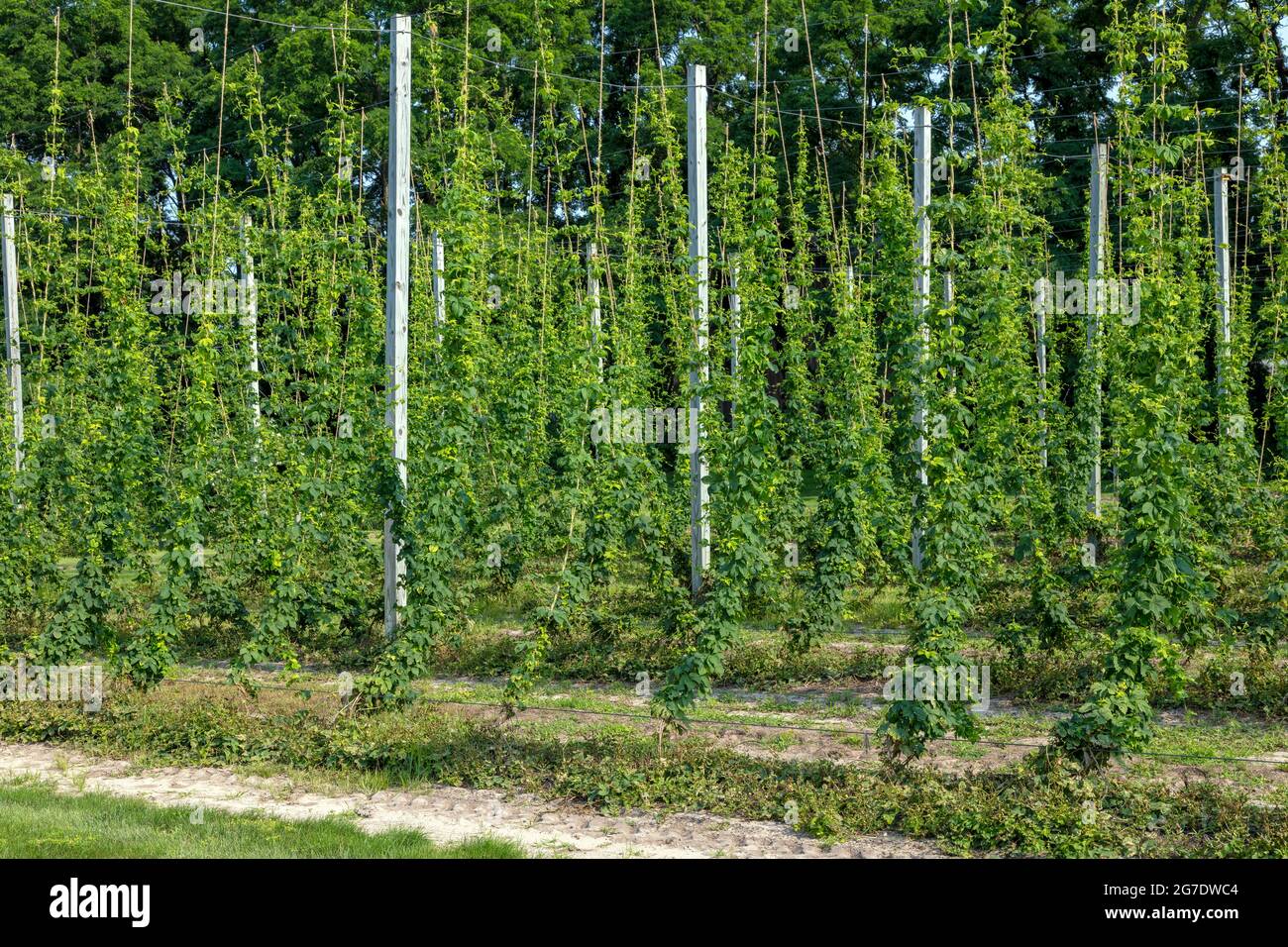 Indiana farm aerial hi-res stock photography and images - Alamy
