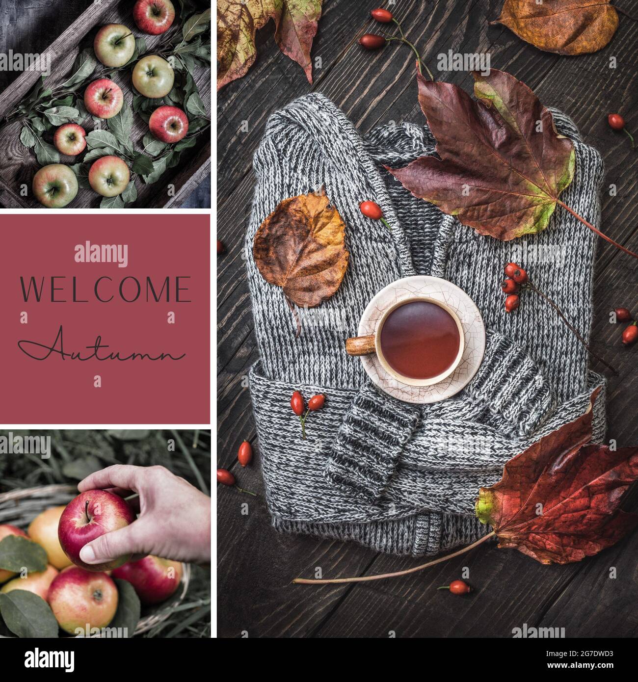 Welcome autumn. Collage of three images with apples, rose hips and ...