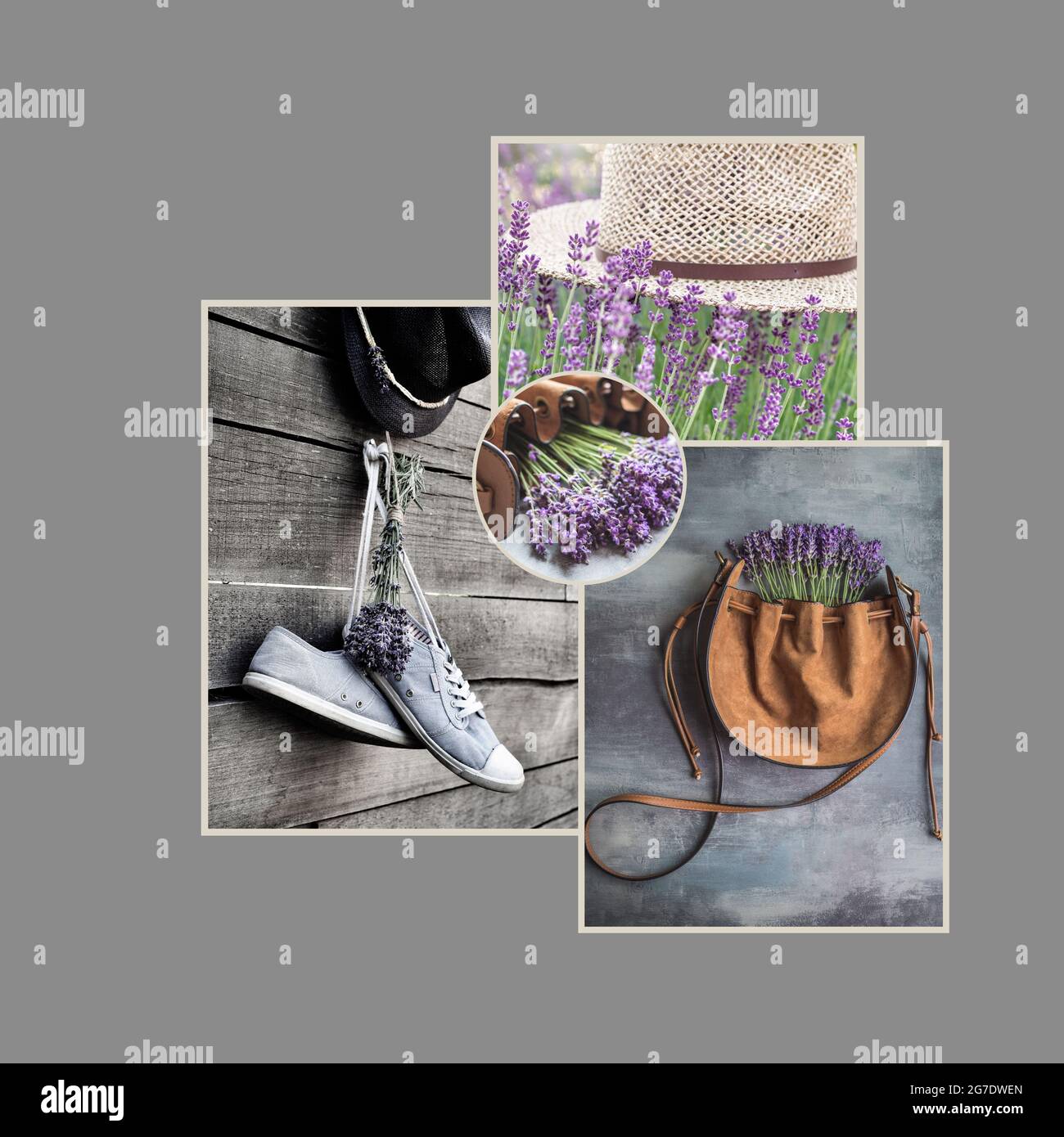 Lavender flowers and fashion. Collage of four images. Mood board with ...