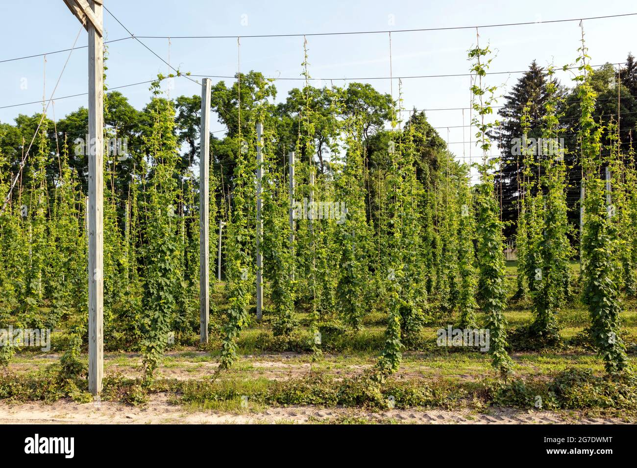 Indiana farm aerial hi-res stock photography and images - Alamy