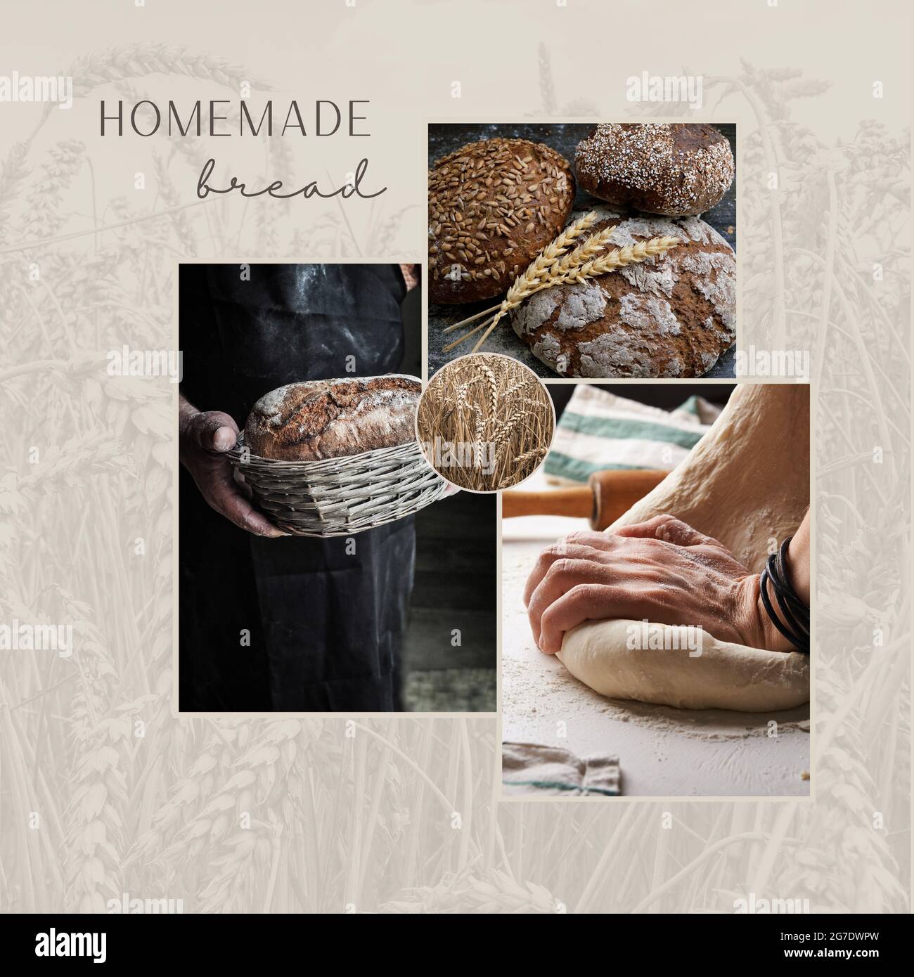 Homemade bread. Collage of three images. Mood board. Social media ...