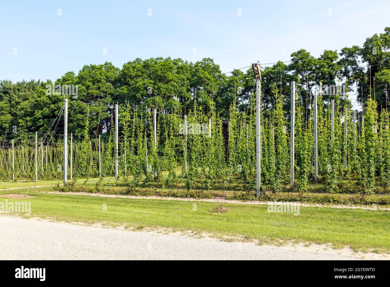 Indiana farm aerial hi-res stock photography and images - Alamy
