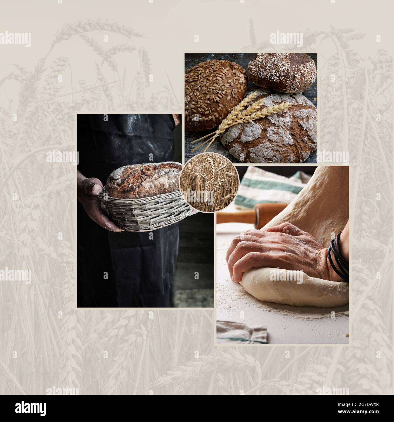 Homemade bread. Collage of three images. Mood board with copy space ...