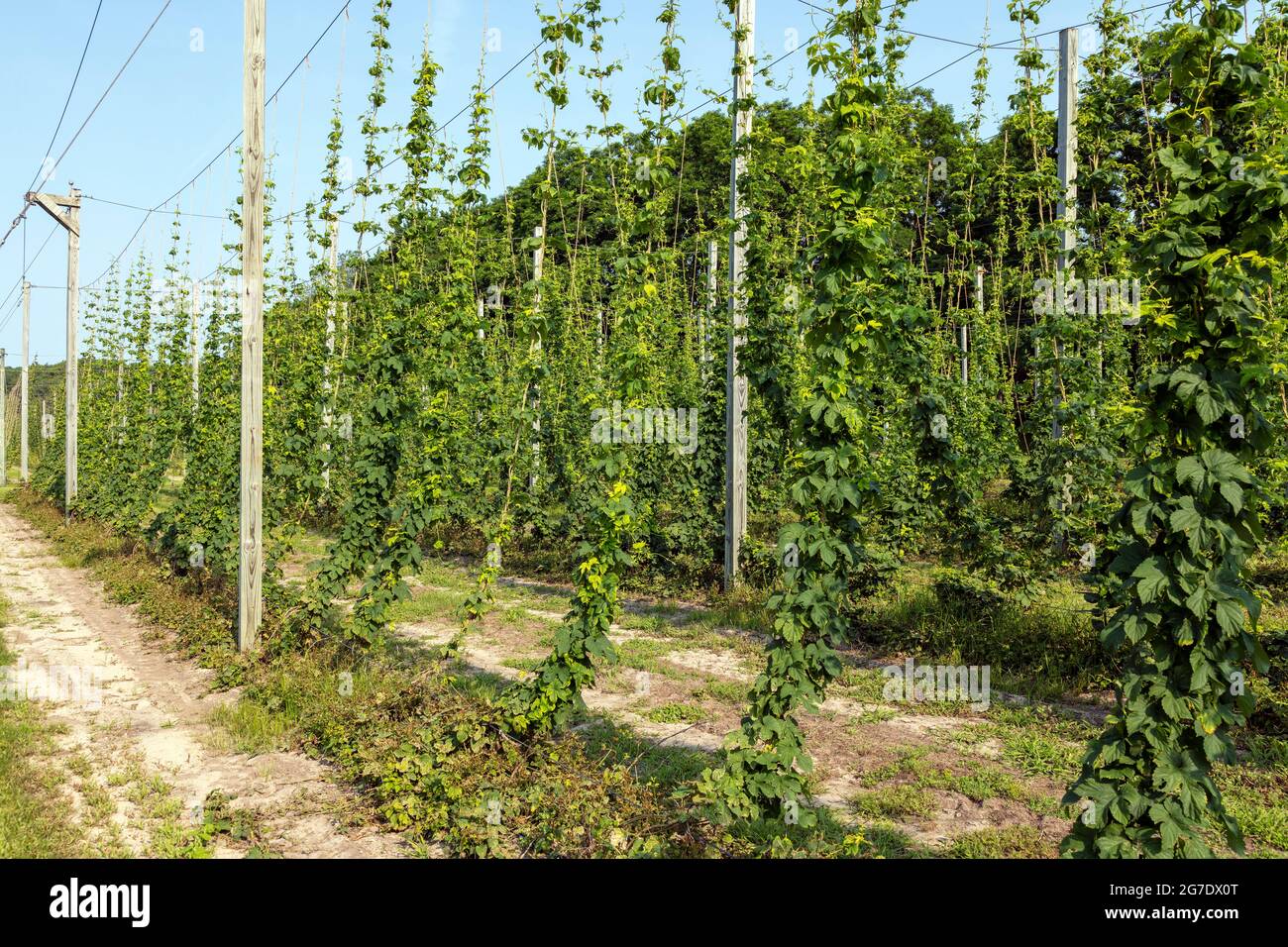 Indiana farm aerial hi-res stock photography and images - Alamy