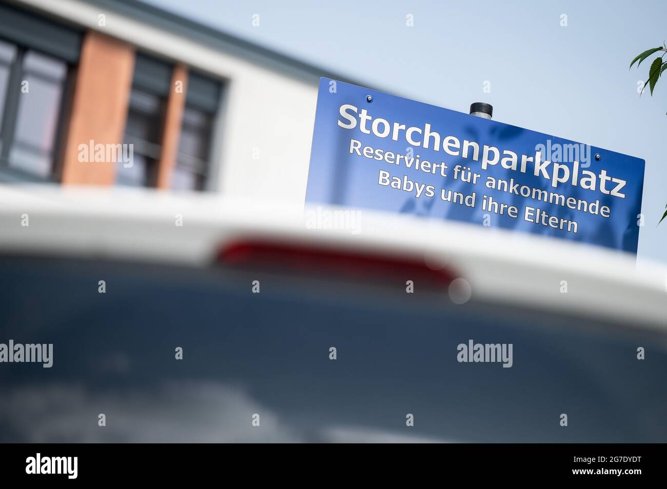 12 July 2021, Hessen, Gießen: A "stork parking lot" for expectant ...