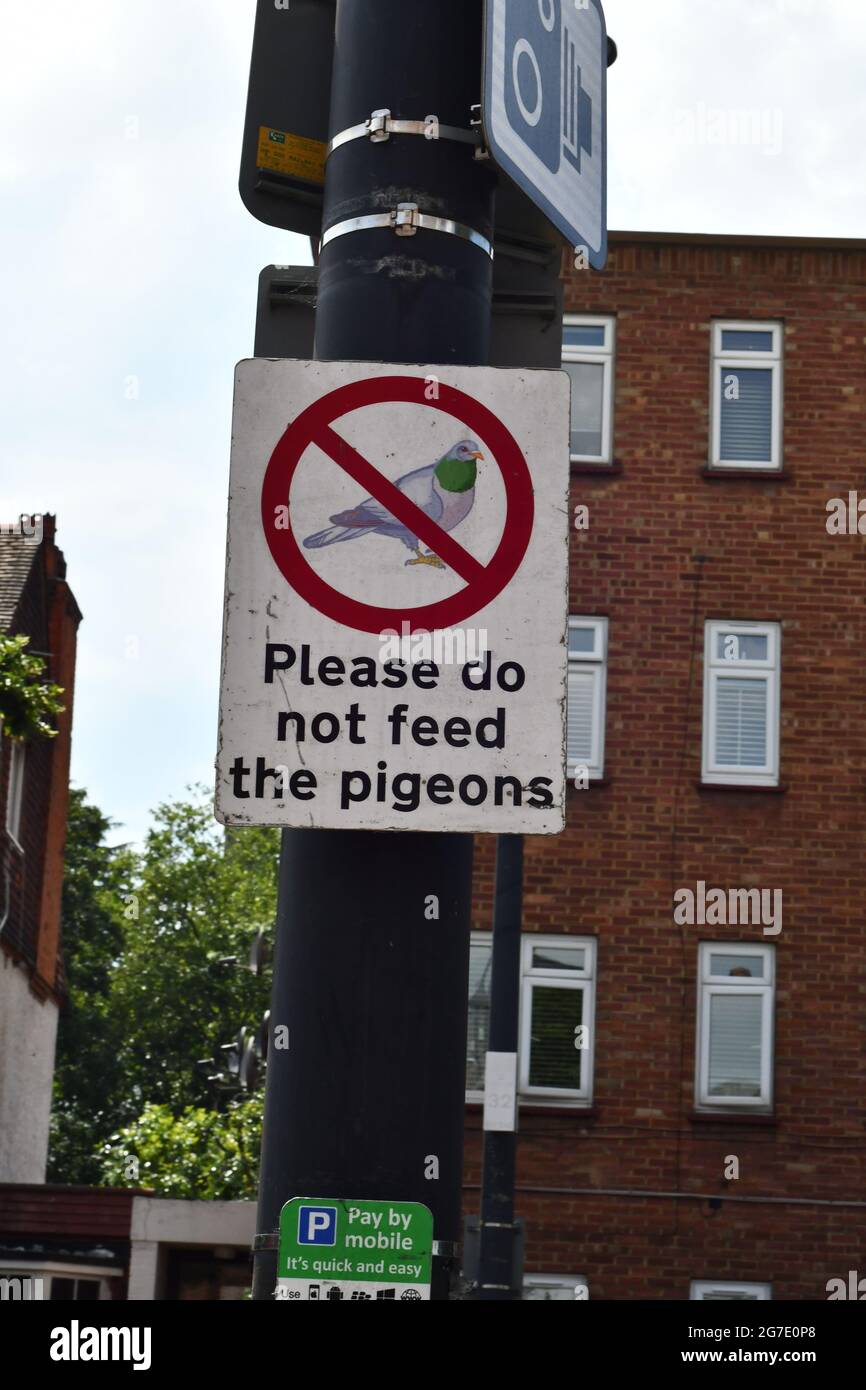 Warning sign stating do not feed the Pigeons Stock Photo - Alamy