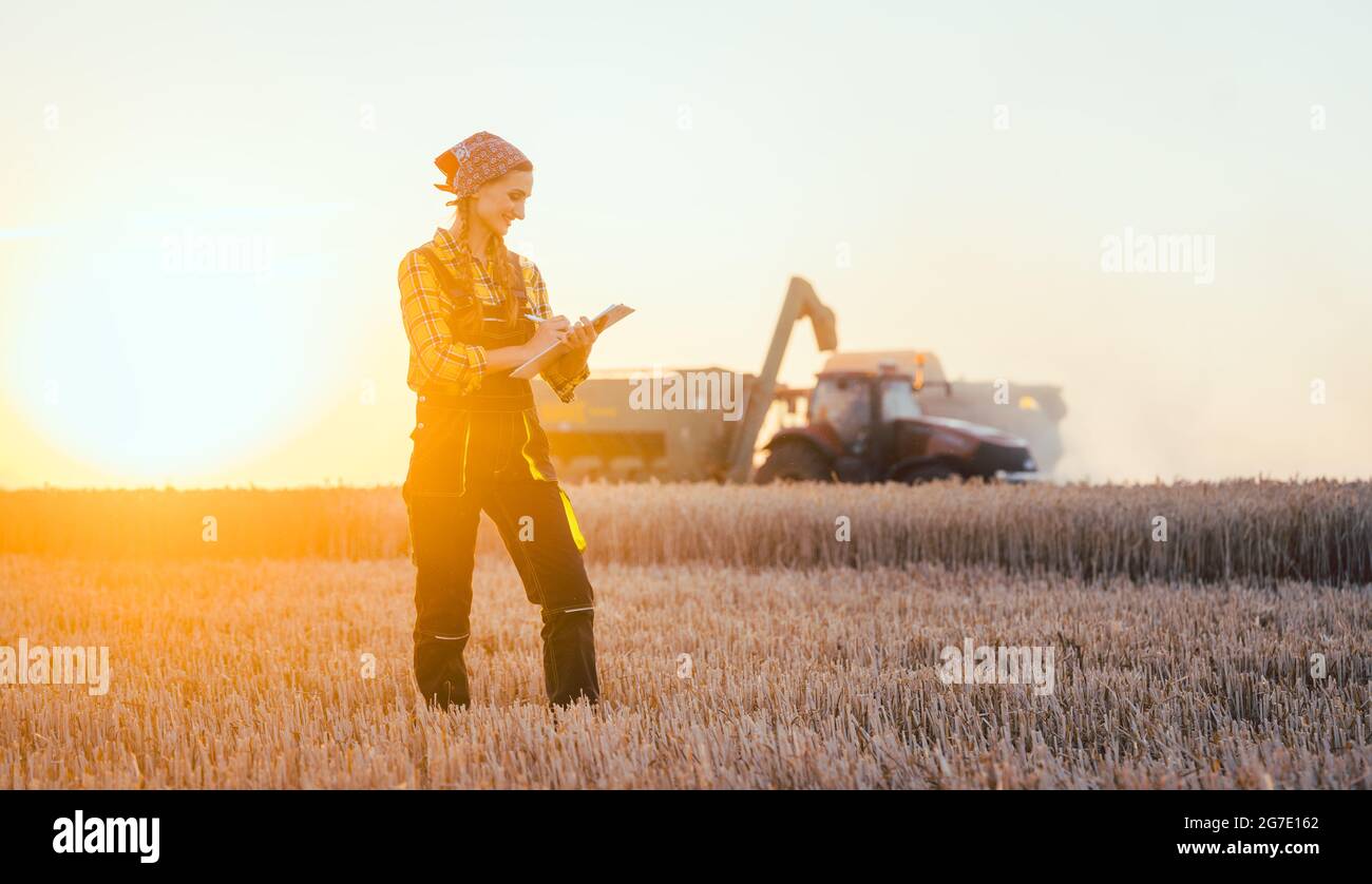 Farmer woman and combine harvester on wheat field during sunset Stock ...