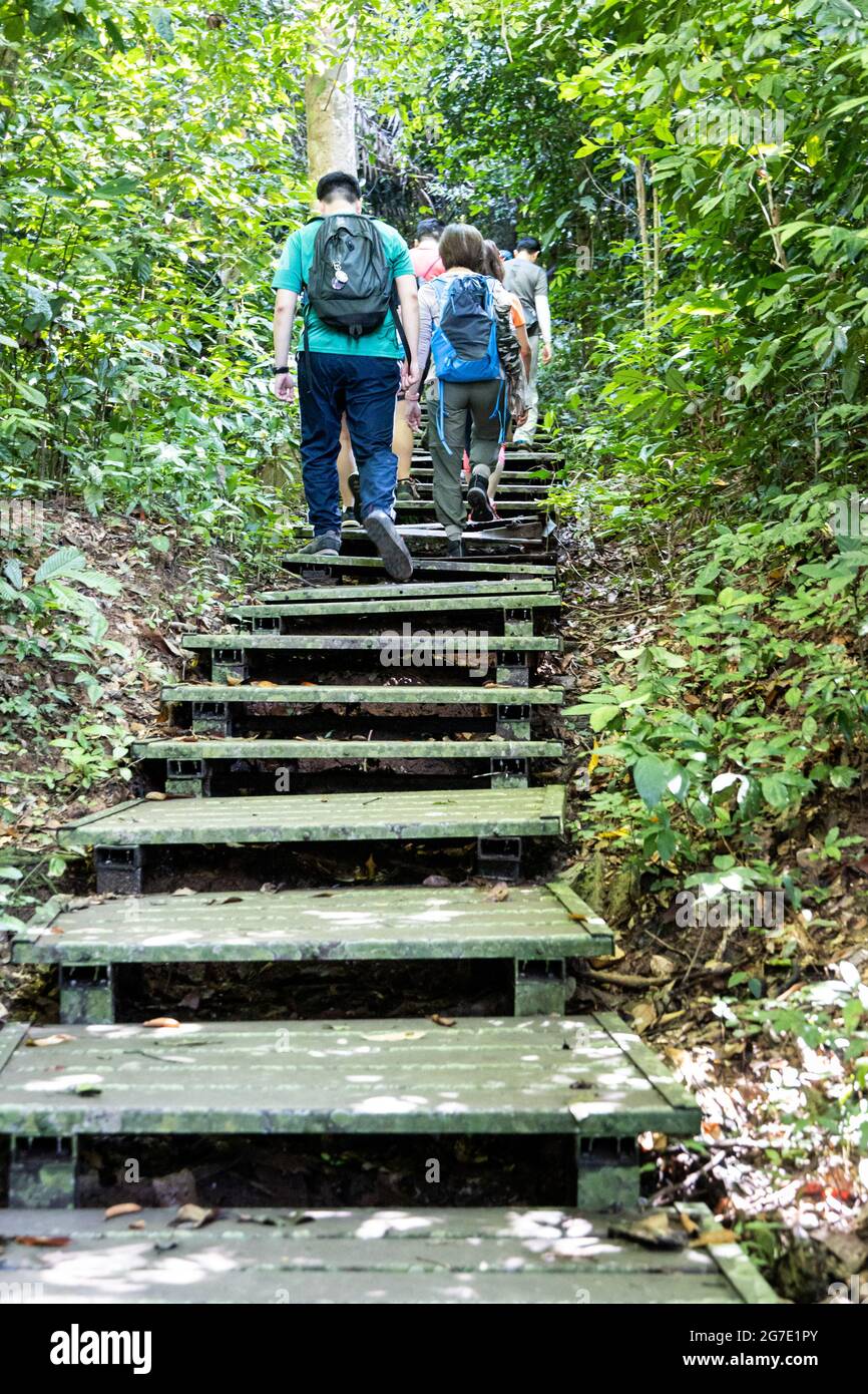 Tourists walking on wooden broadwalk trail at natural and scenic Taman ...
