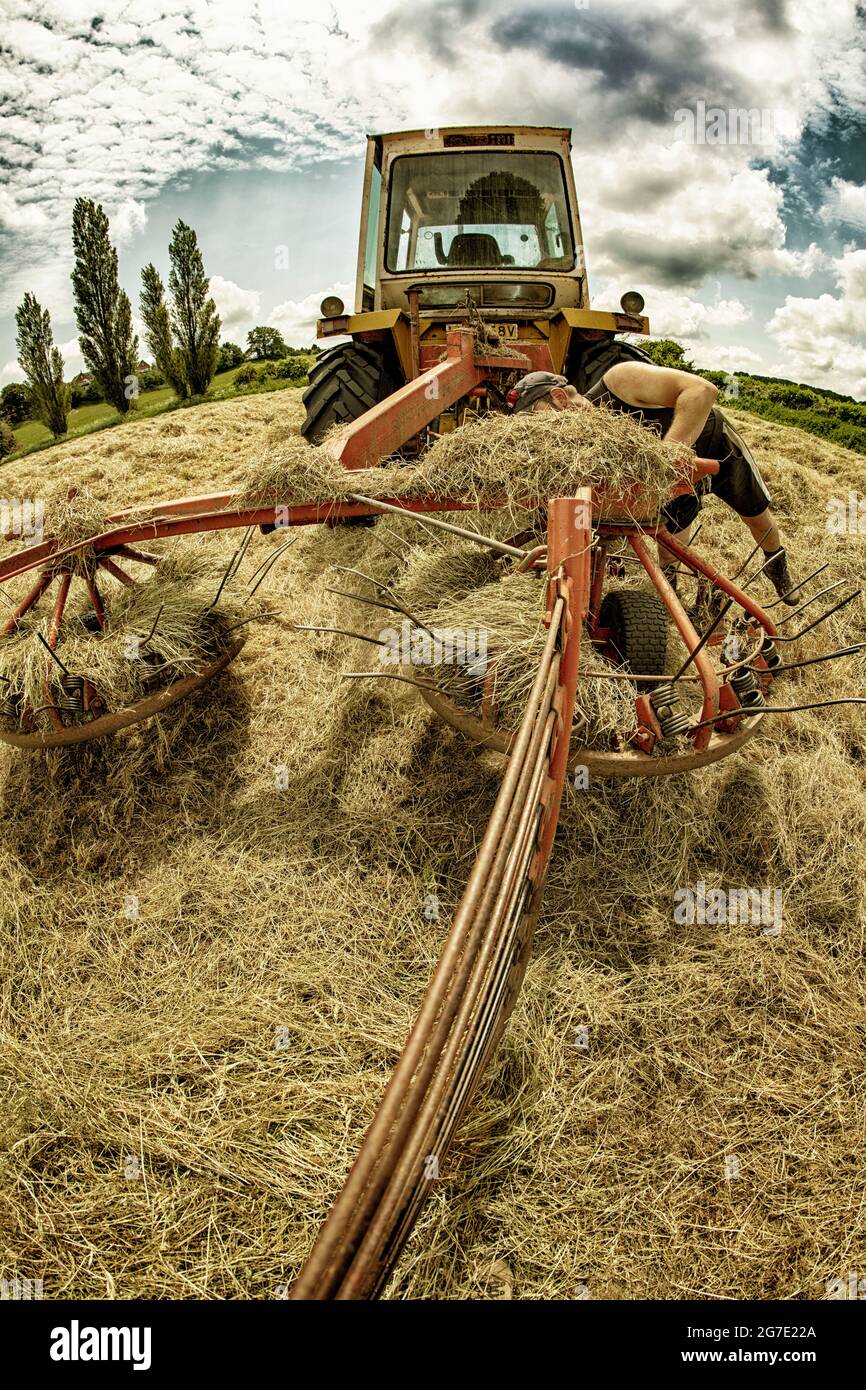 Idyllic haymaking in the sunshine on farmland around Bromley, Greater ...