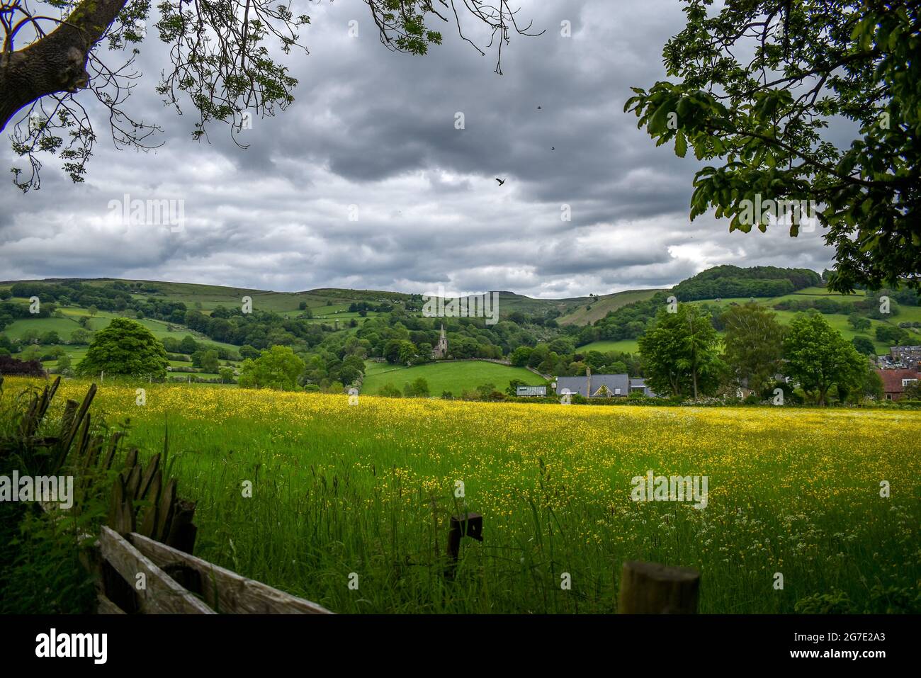 Spring flowers peak district hi-res stock photography and images - Alamy