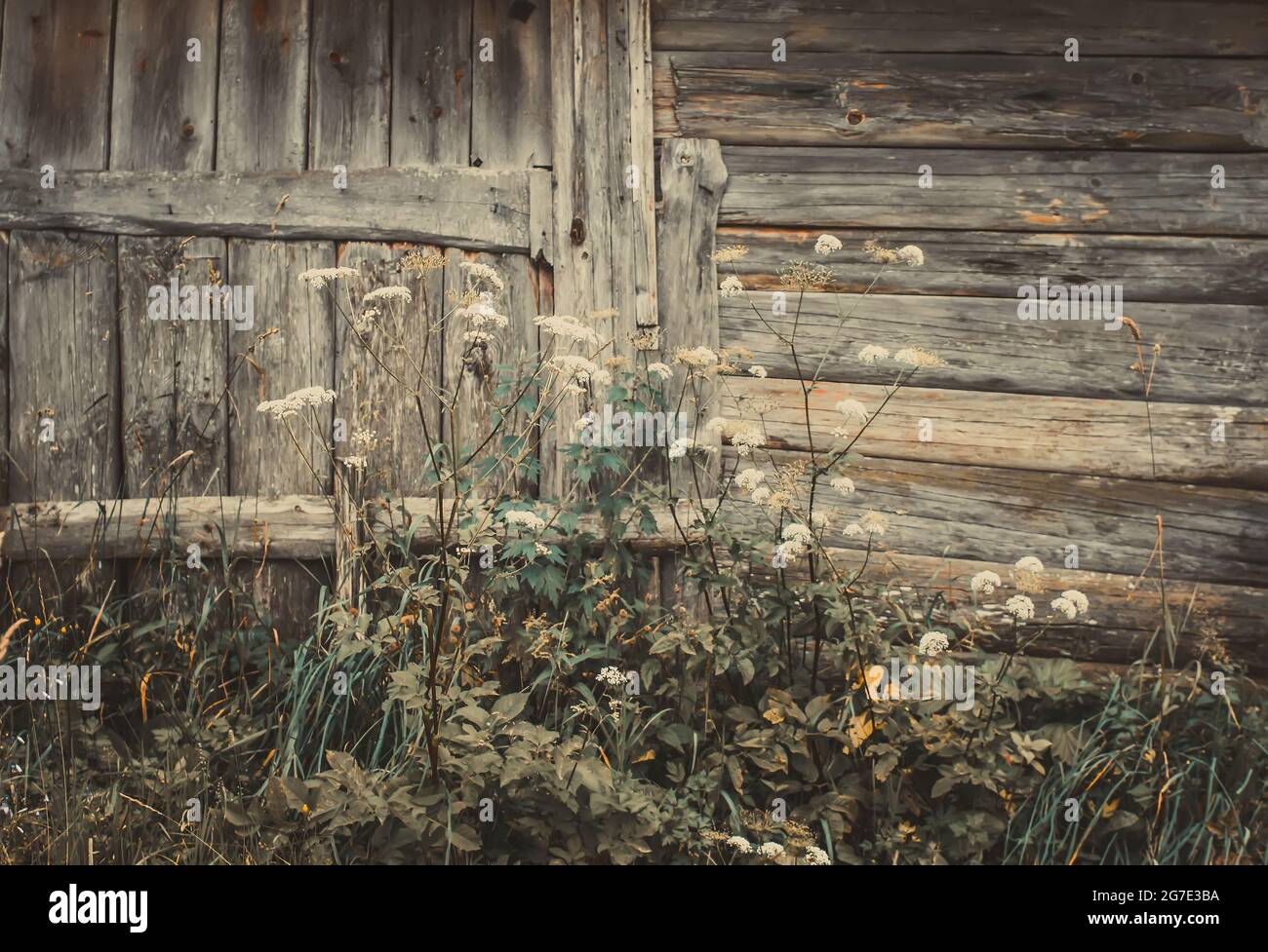 Old barn in the countryside hi-res stock photography and images - Alamy