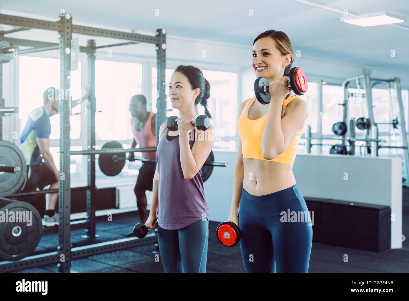 Two women doing fitness training together in the gym with dumbbells ...