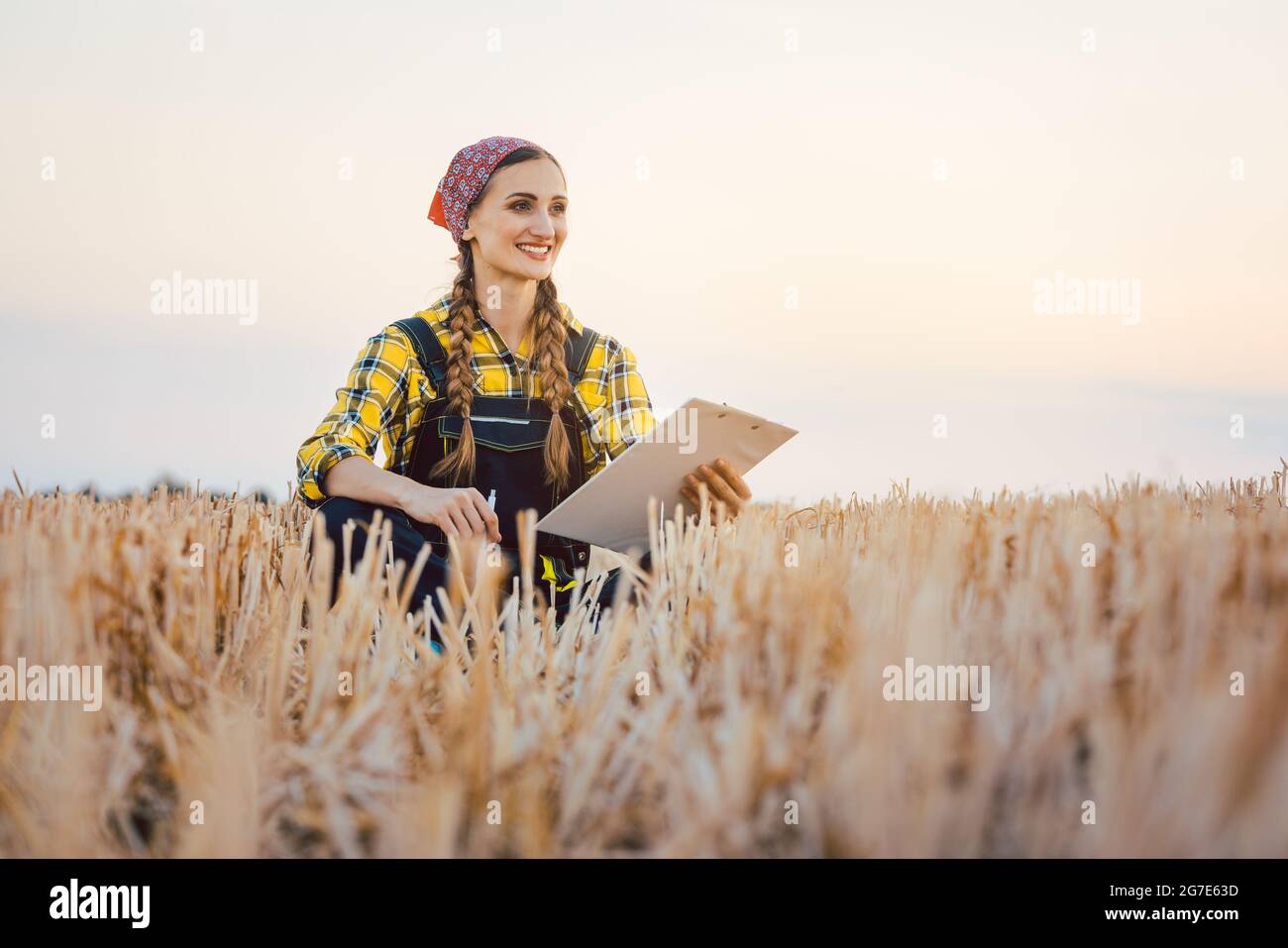 Farmer sitting on field after harvest doing crop planning for next ...