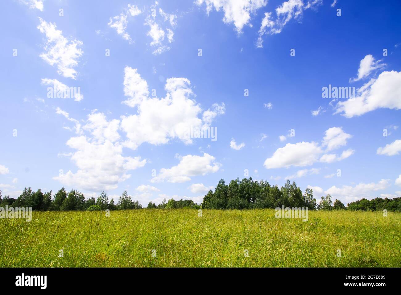 Summertime in countryside in Latvia, East Europe. Landscape view with ...
