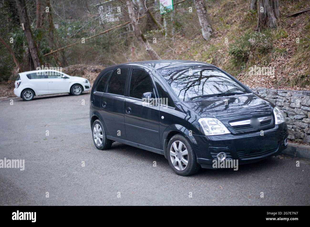 The car is parked on the road. The car is parked. The usual family car ...